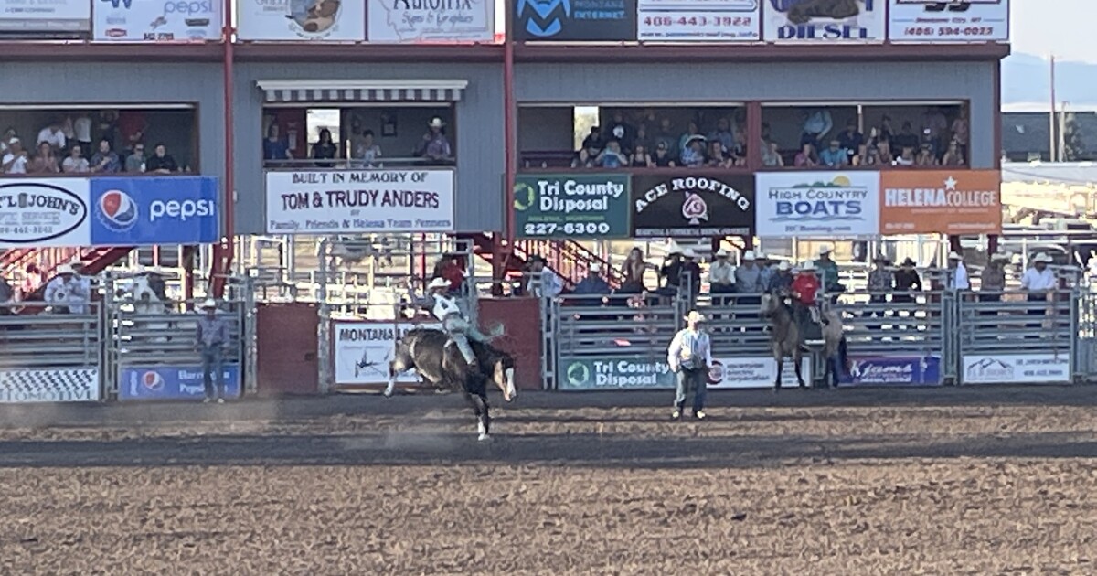 Out and About: The Last Chance Stampede and Fair, Alive at 5 and ...