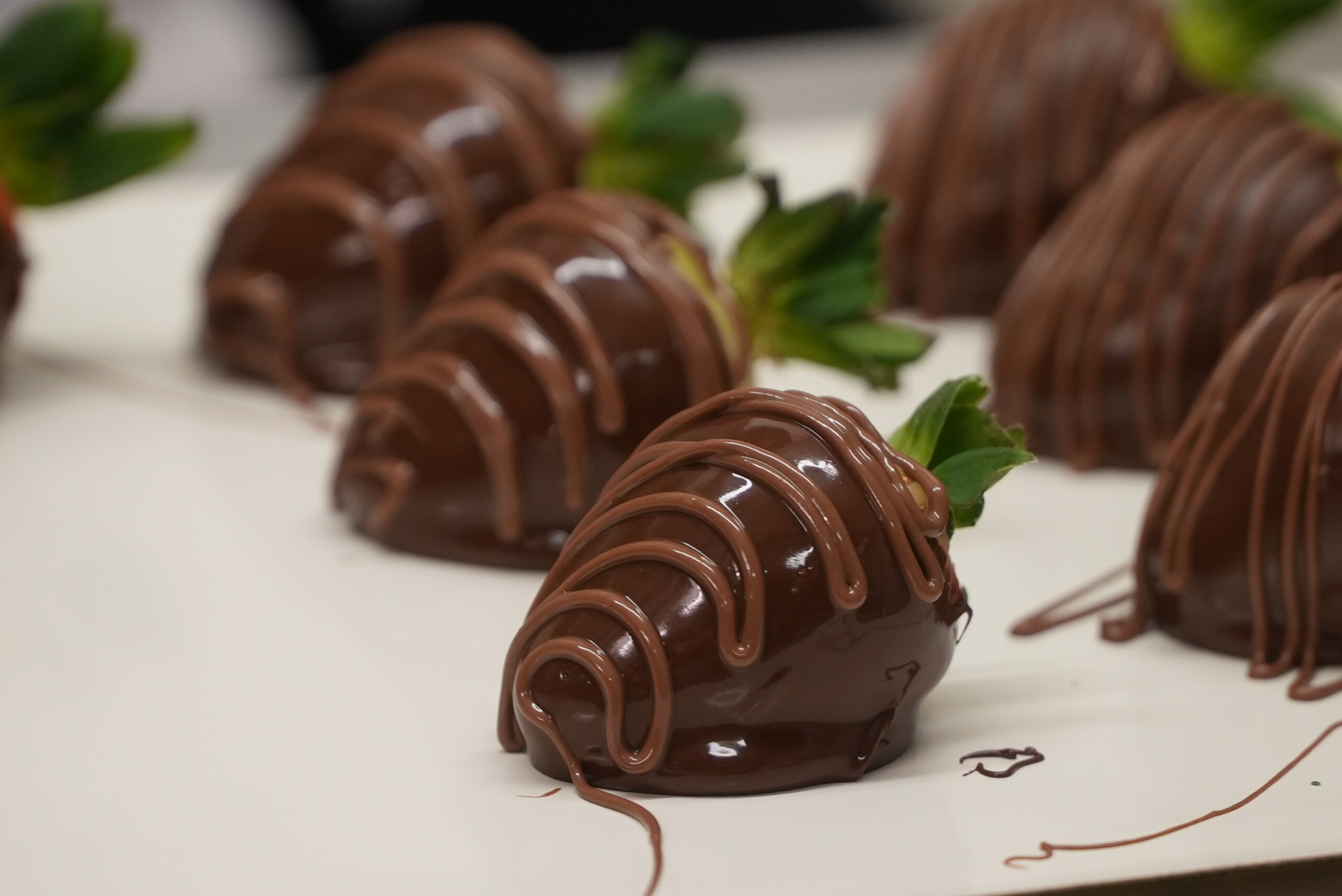 The Parrot Confectionery has sweetened holidays for over a century