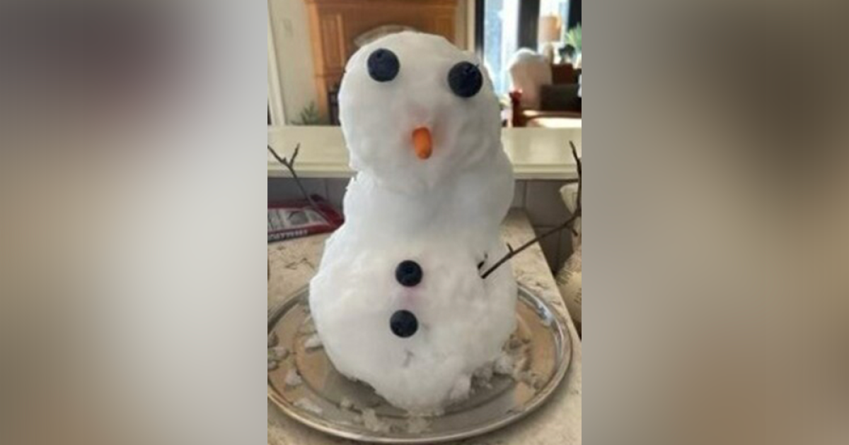 Snowman mailed from KY so FL students can see snow in person
