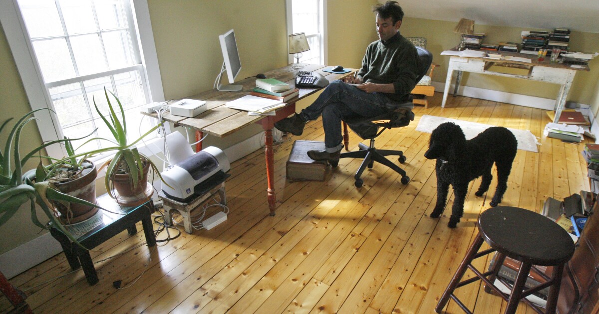 Home-based workers became younger, more diverse in pandemic