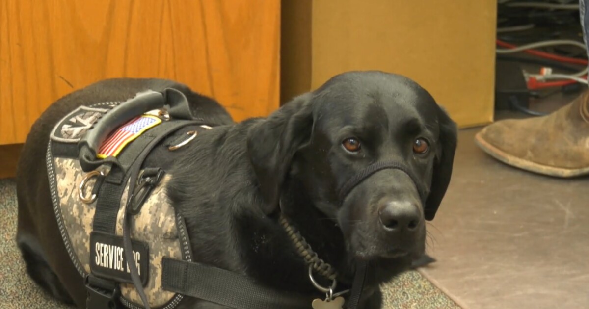 Montana veteran reflects on his time with his service dog