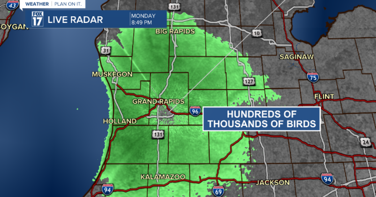 Fall Bird Migration Underway