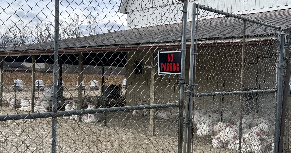 Michigan turkey farm sees drop in sales ahead of Thanksgiving holiday