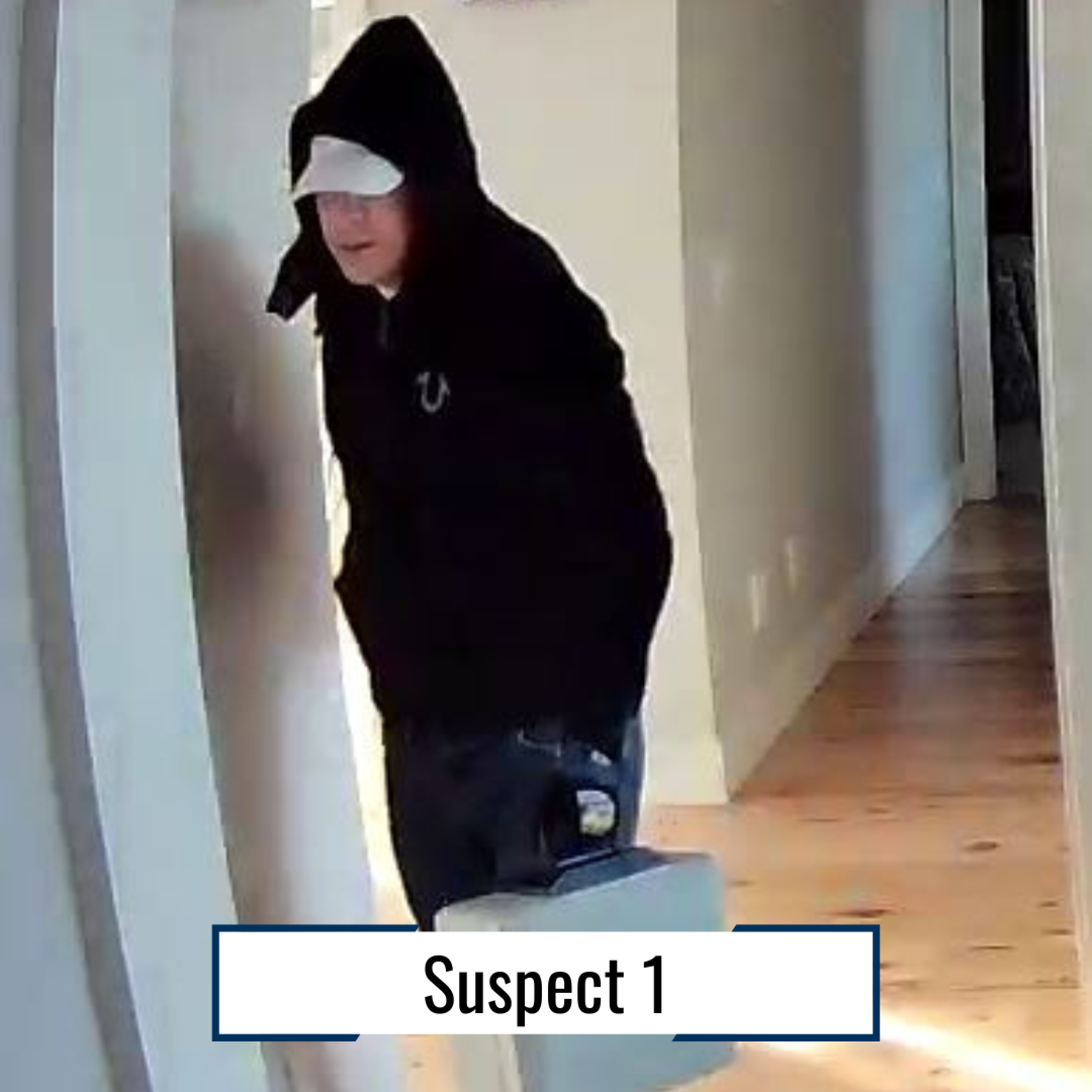 Meridian Police Seeking Publics Help In Identifying Burglary Suspects