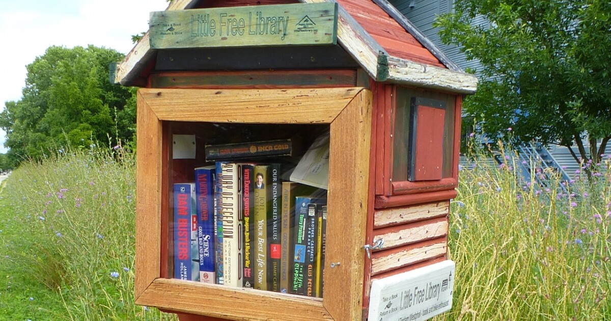 Boy's Front-Yard Library Shut Down By City Government (VIDEO)