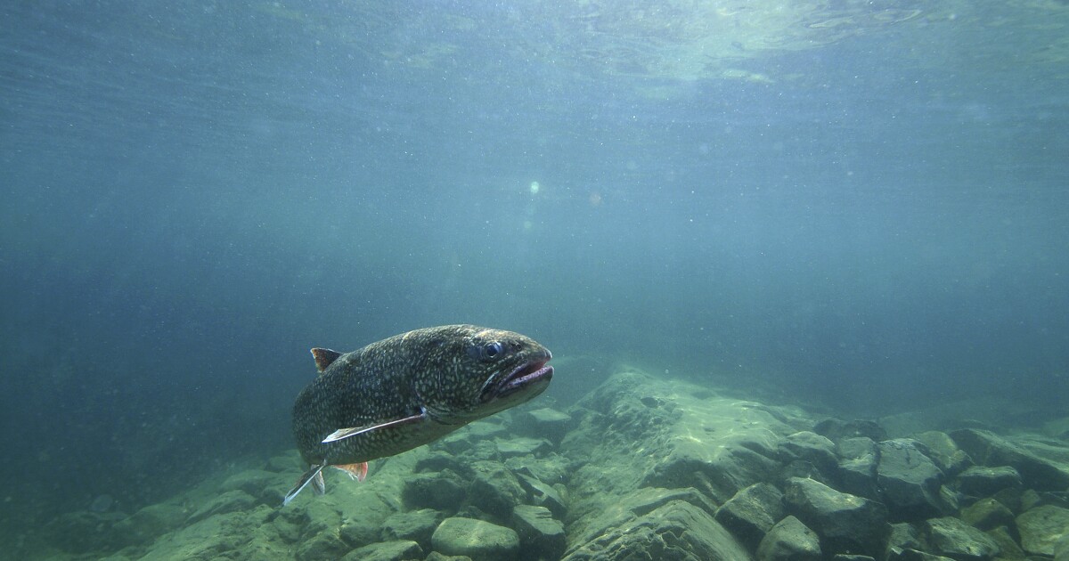 Push to map Great Lakes bottom gains momentum