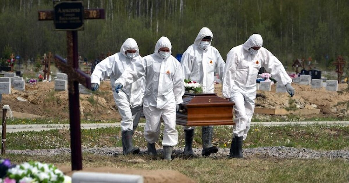 Summer setback: COVID deaths and cases rising again globally