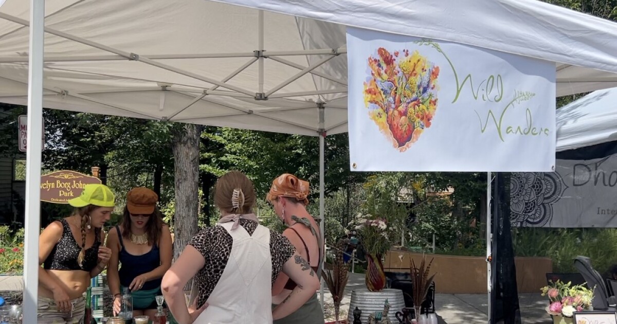 Wild Wanders teaches plant communication and medicine through nature walks