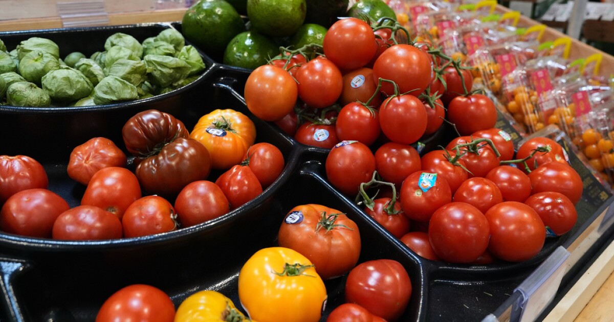 Ex USDA chief sees positives, but raises some concerns over new US ...