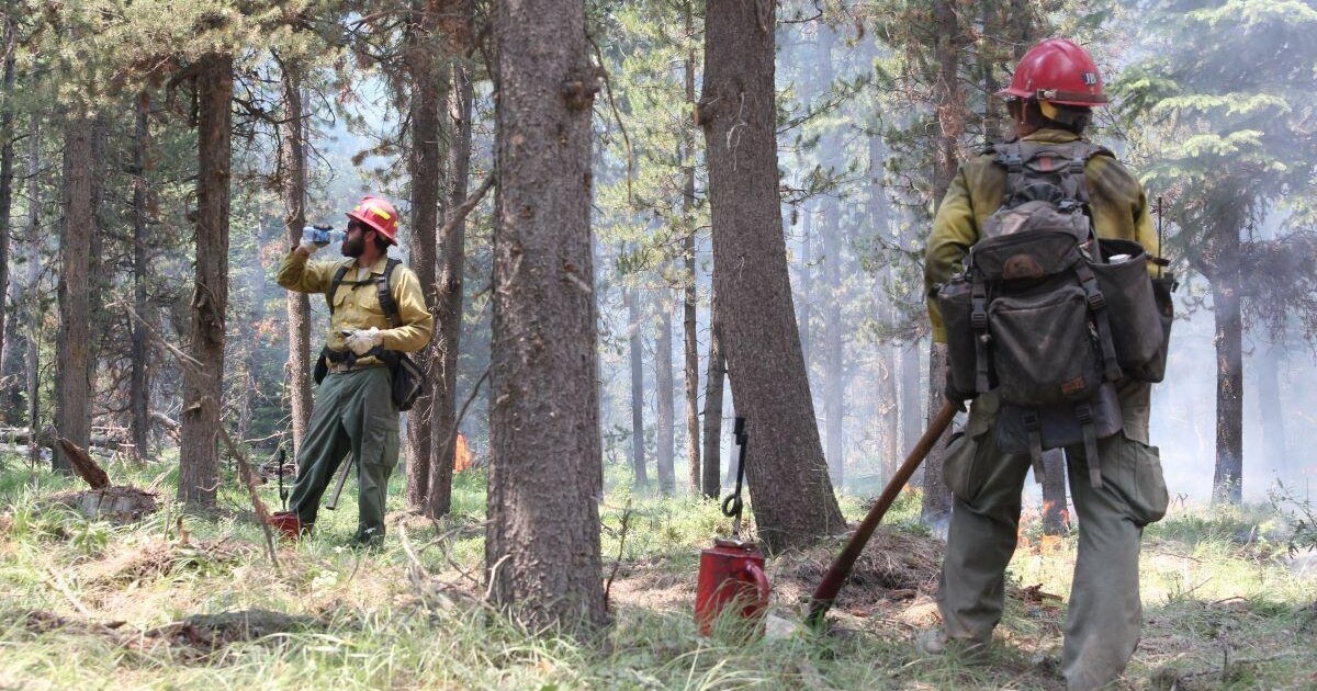 Goose Fire reaches 70 percent containment