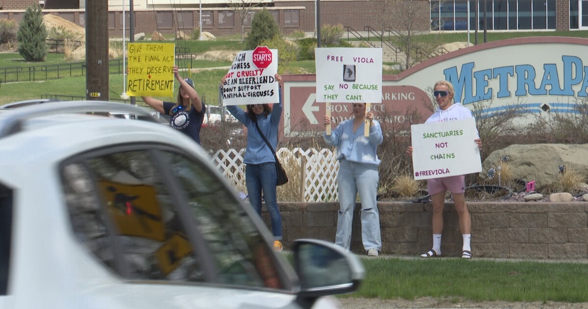 Protesters rally against circus in Billings