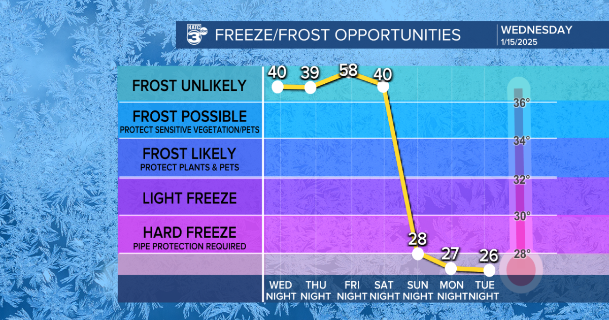 Roller Coaster Weather: Forecast Bounces Around Before Plummeting Next Week