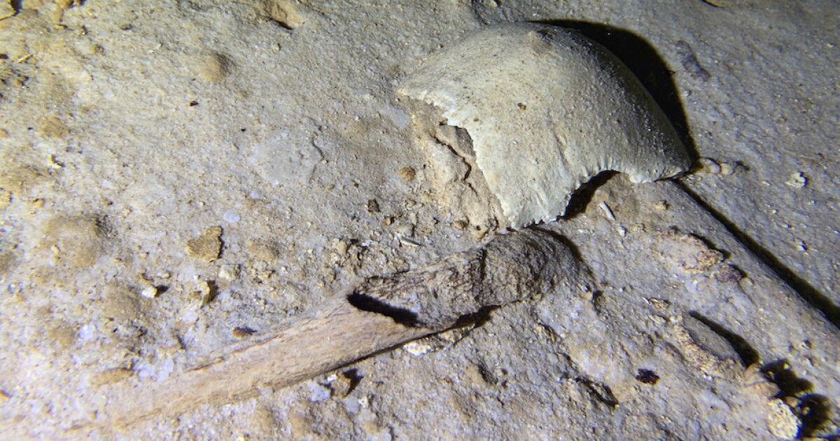 Ancient skeleton found in Mexico cave threatened by train