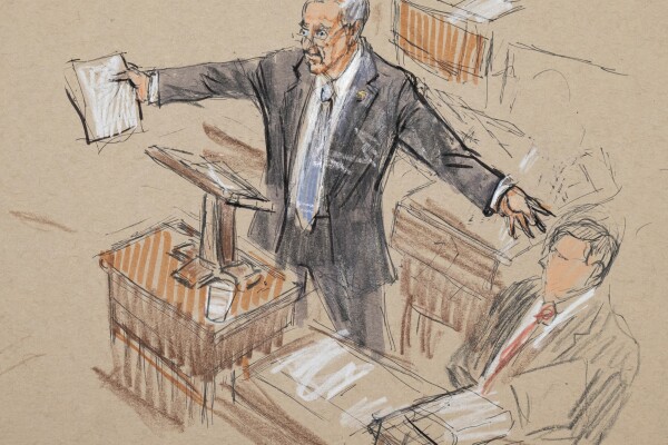 Sketches deliver images of Trump's impeachment trial