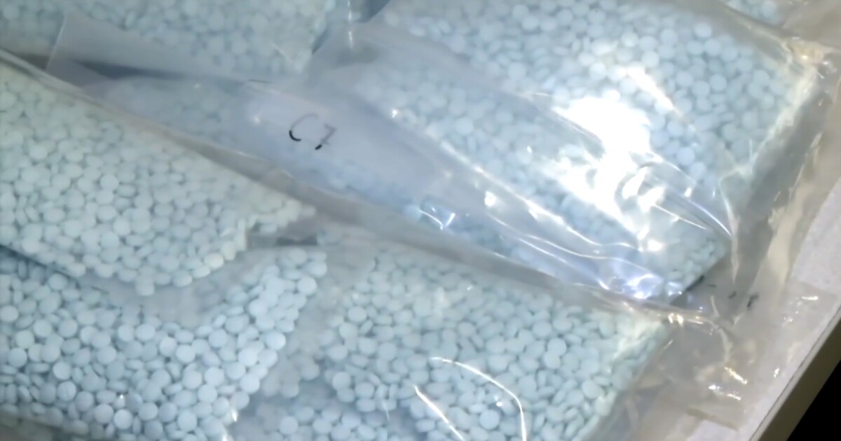 Large amount of carfentanil, an elephant tranquilizer, seized in Billings