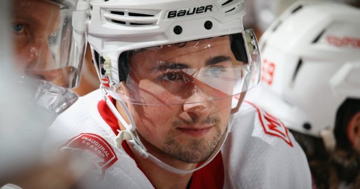 Larkin excelling in third year with Red Wings