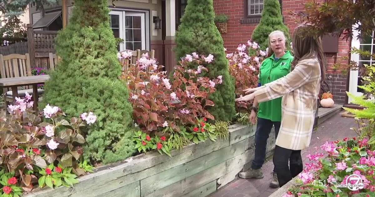 Find out the secret to creating a beautiful garden