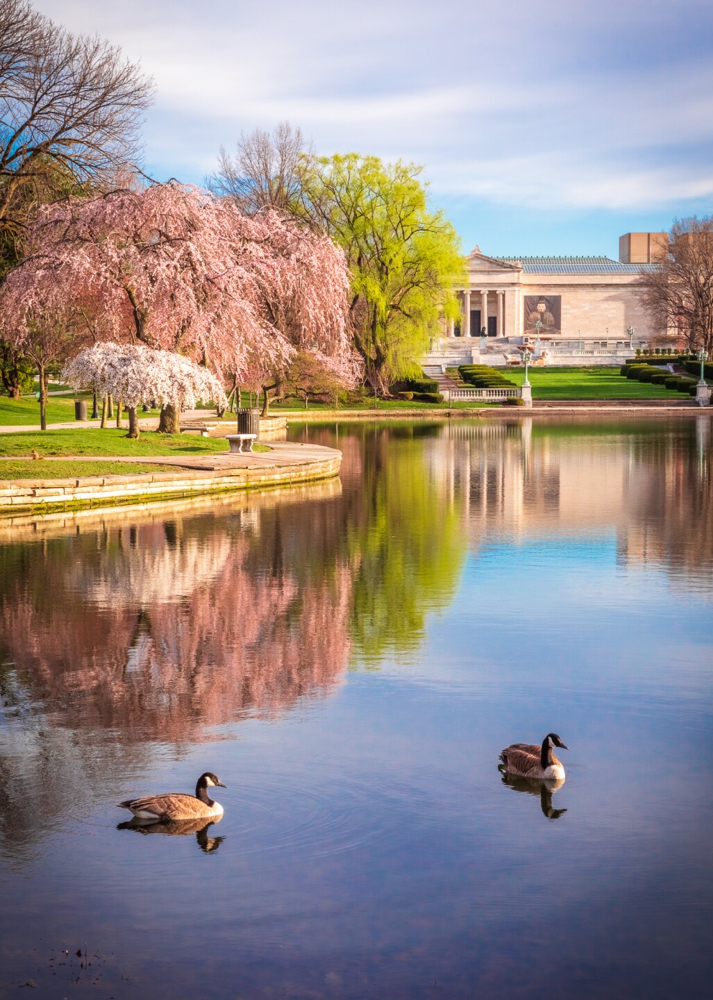 Cleveland photographer captures explosion of cherry blossoms in full ...