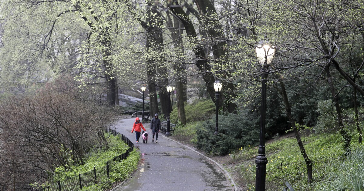 Nypd Searching For Suspect In Alleged Antisemitic Attack In Central Park