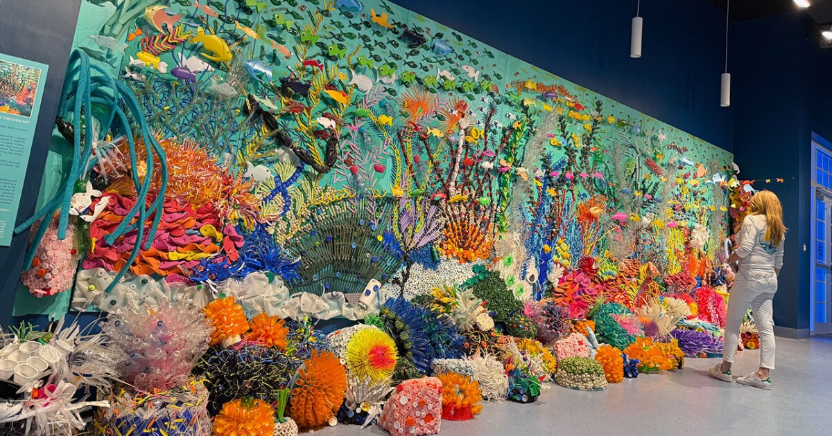 This plastic reef tells powerful story of harmful trash