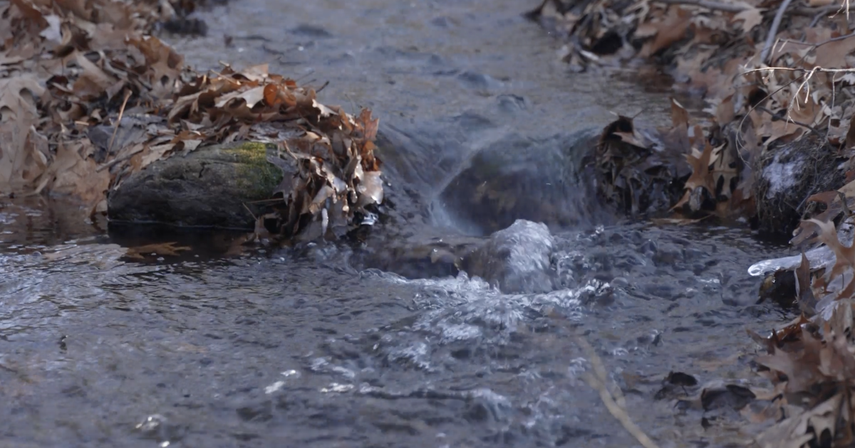 More cities looking to 'daylight' buried rivers and streams