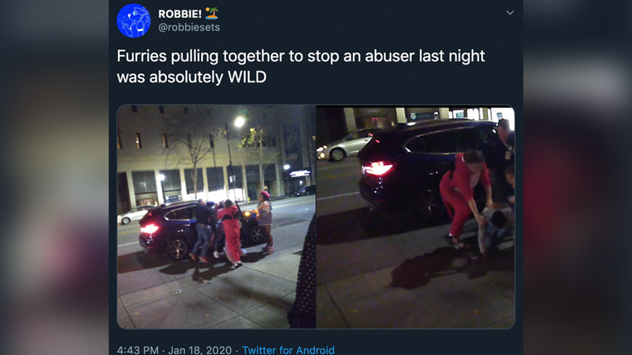 Group Of Furries Help Police Arrest Domestic Violence Suspect Outside