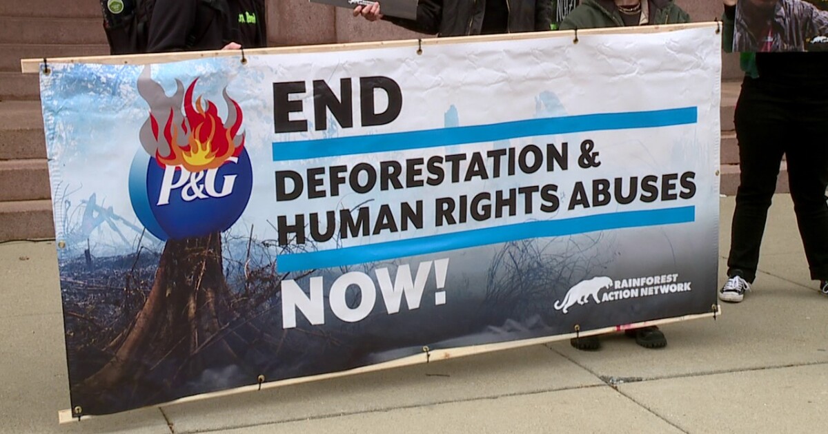Why can't P&G please deforestation activists?