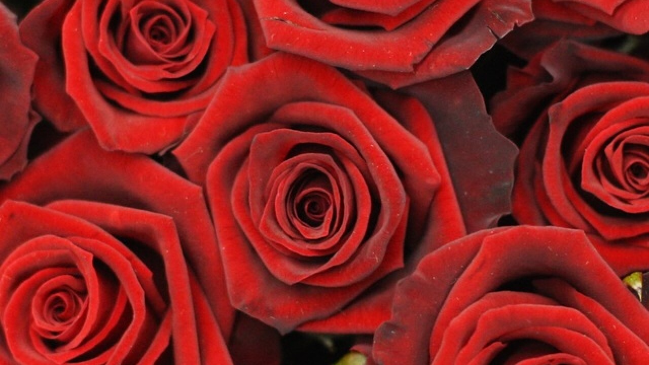 Bachelorette-inspired deal on roses!