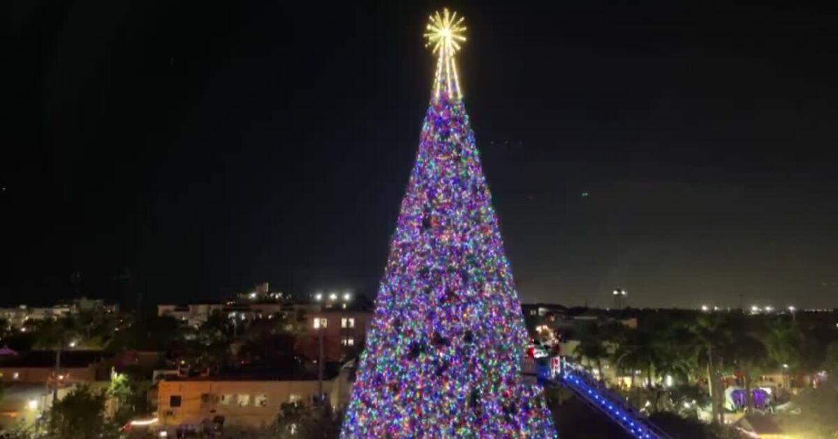 Delray Beach celebrates start of holiday season with tree lighting ceremony