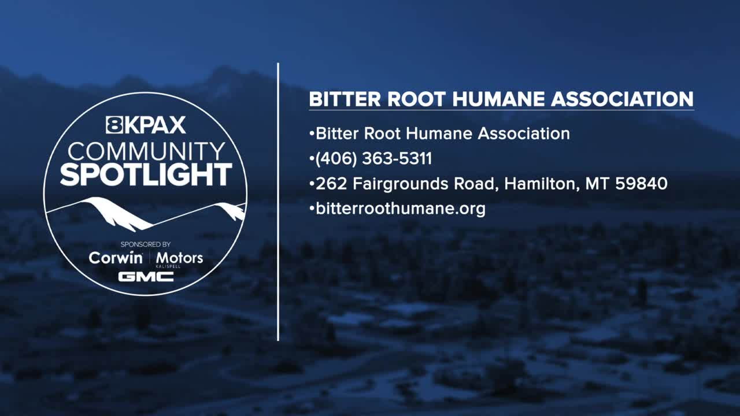 Community Spotlight: Bitterroot Humane Society