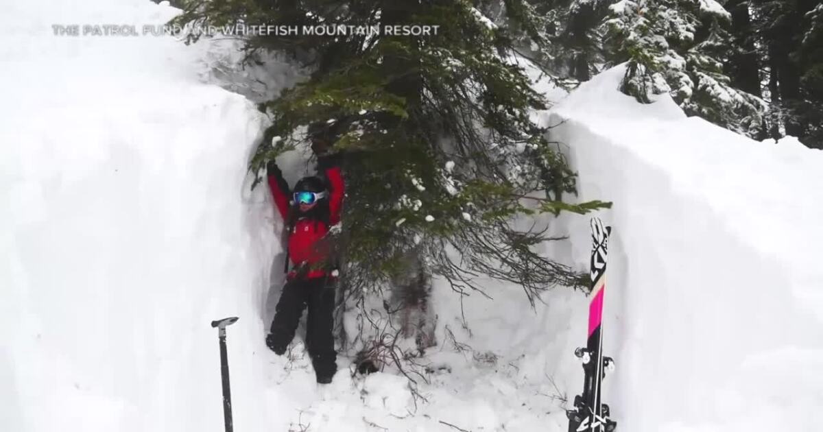 What are "tree wells," and why are they so dangerous for skiers?