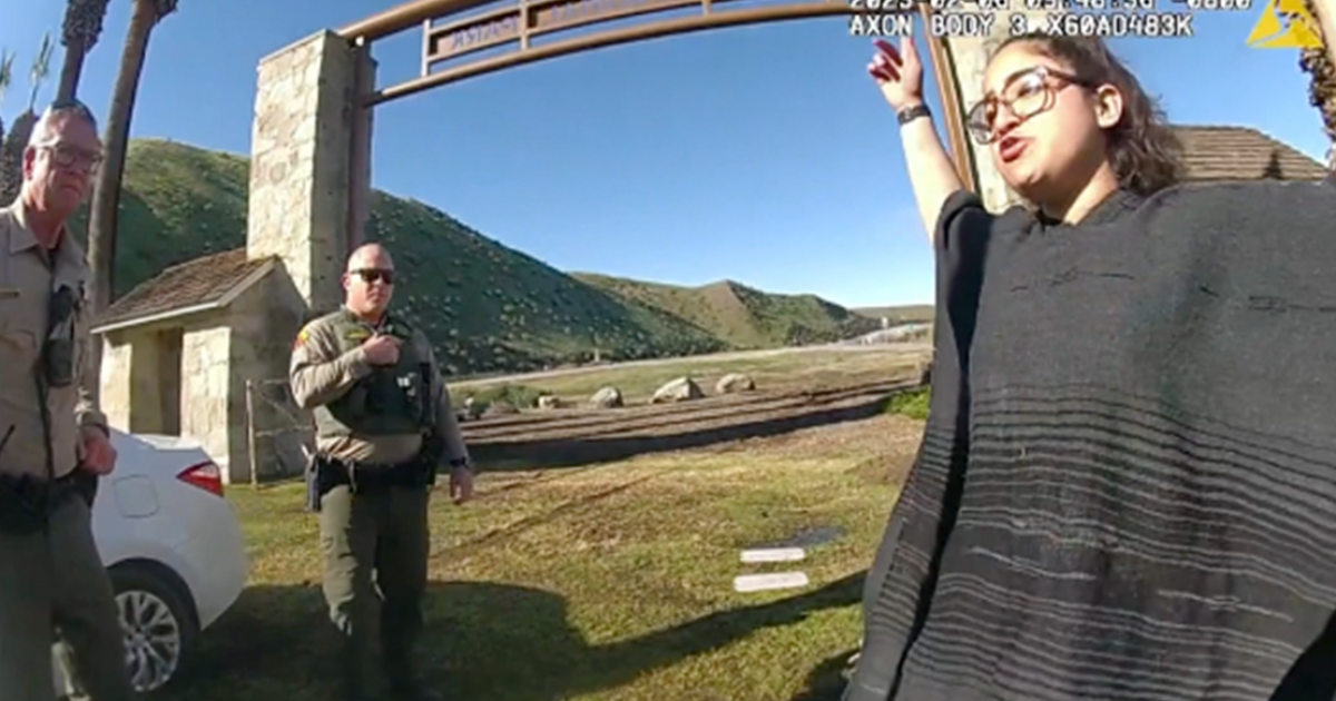 Woman arrested after vandalism to American flag at Hart Park