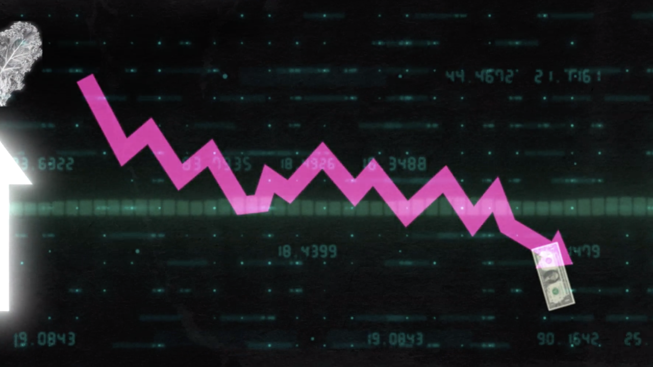 Animation: What is inflation and how does it impact us?