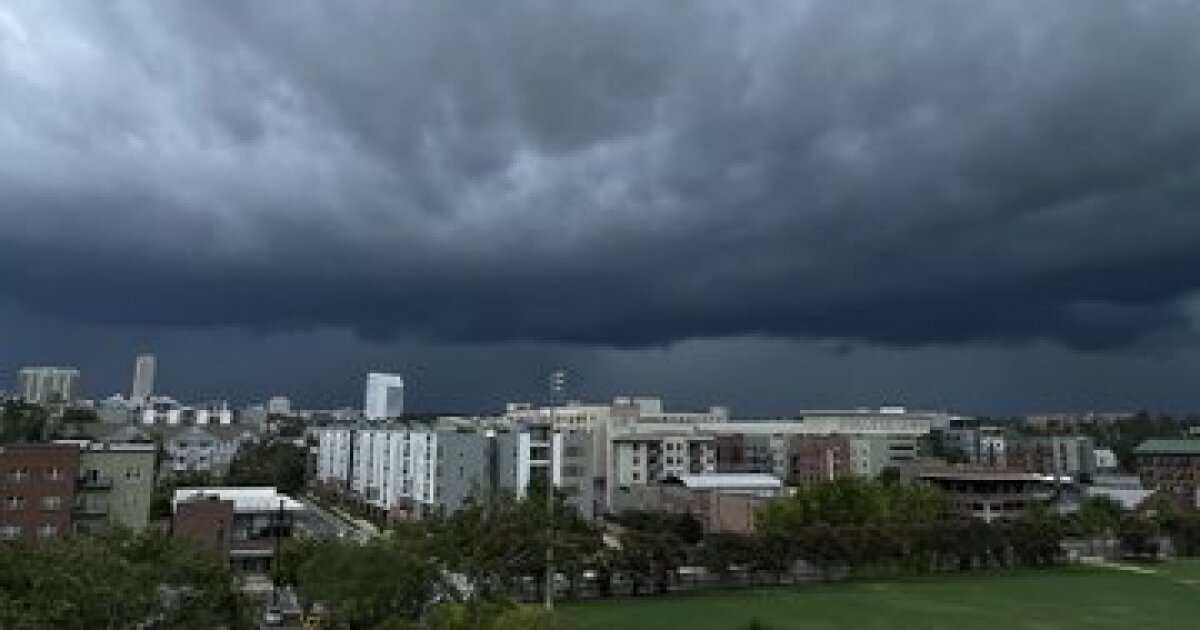 Leon County to begin curbside vegetative debris collection from ...