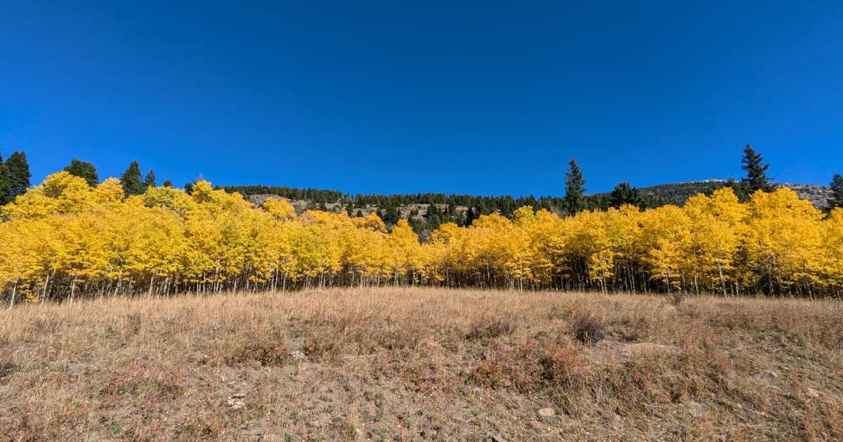 Good Morning, Montana (Tuesday, October 15, 2024)