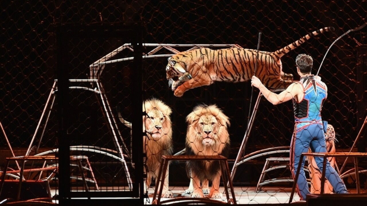 PETA to protest UniverSoul Circus opening day in Detroit with nude tiger