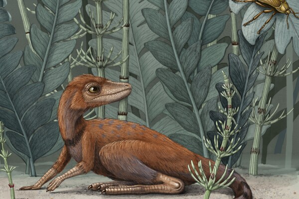 Fossils reveal dinosaur forerunner smaller than a cellphone