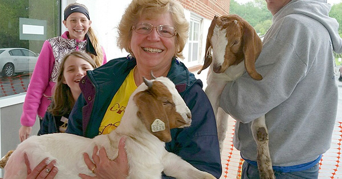 Church class donations push 'goat meter' to 500