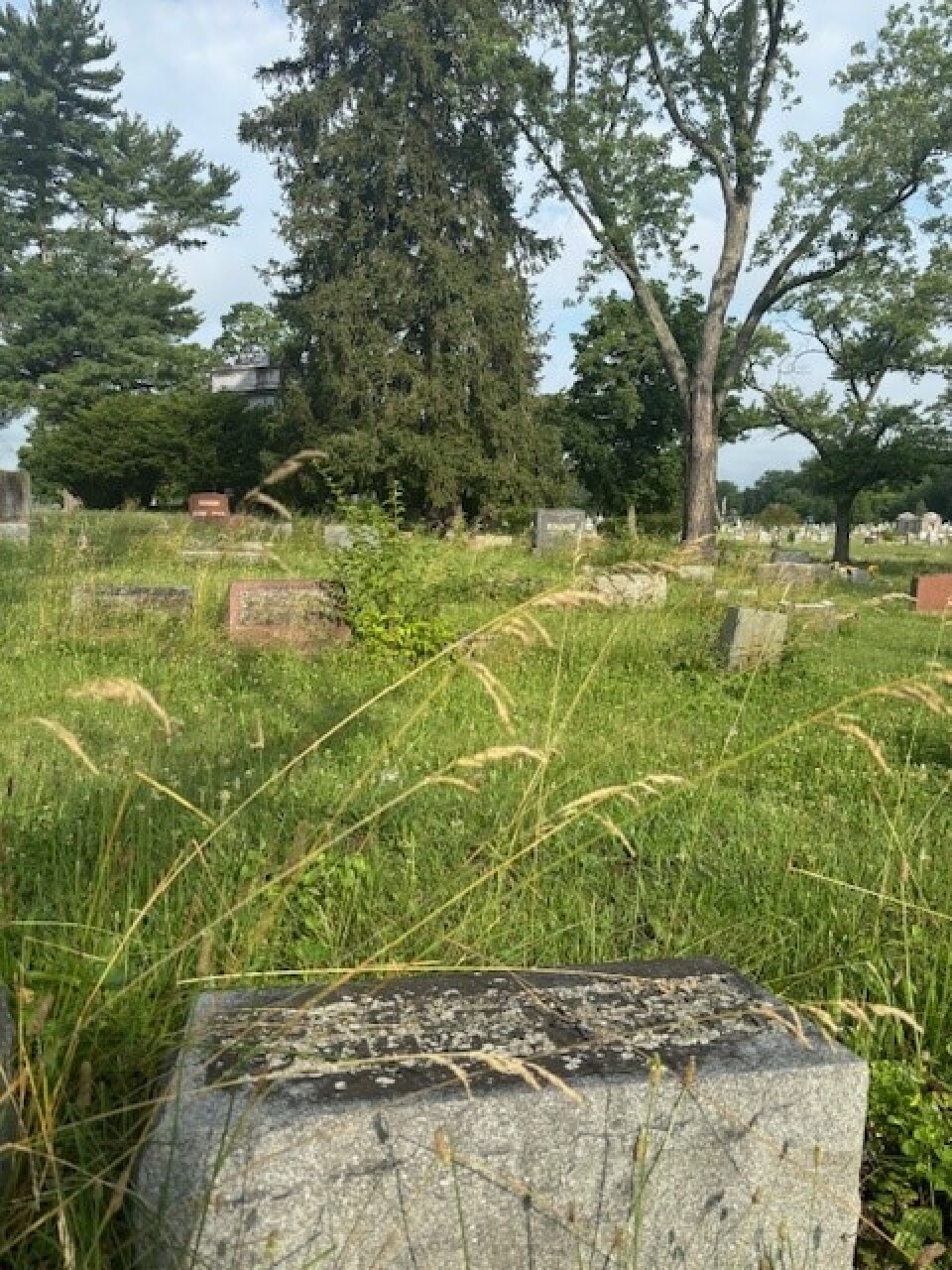 “Disrepair and deplorable”: Conditions at local cemetery prompt judge’s action