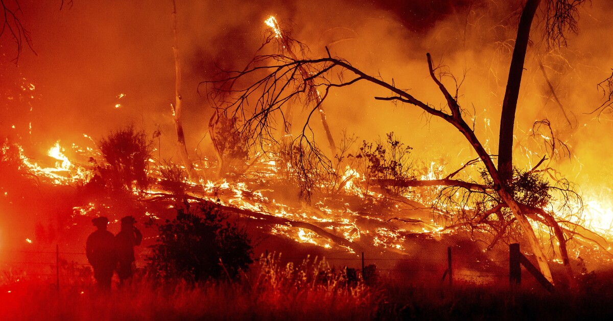 California forest fire temporarily strands July 4th revelers