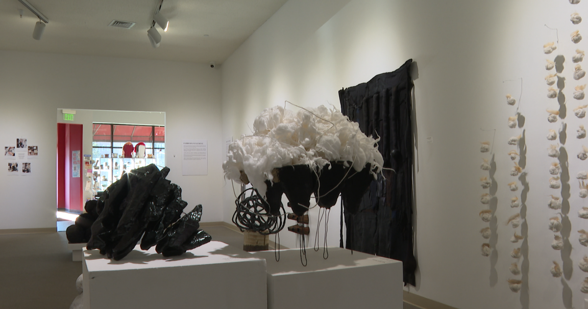 Whitefish artist's pandemic project on display at Helena art museum