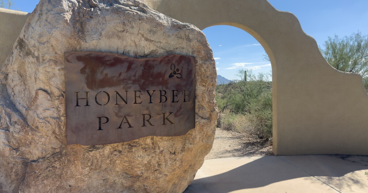 Community outraged after mutilated tortoise found at Honeybee Park