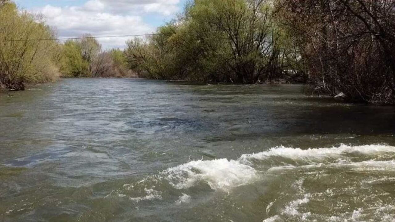 Boise River flows to near "bankfull" today
