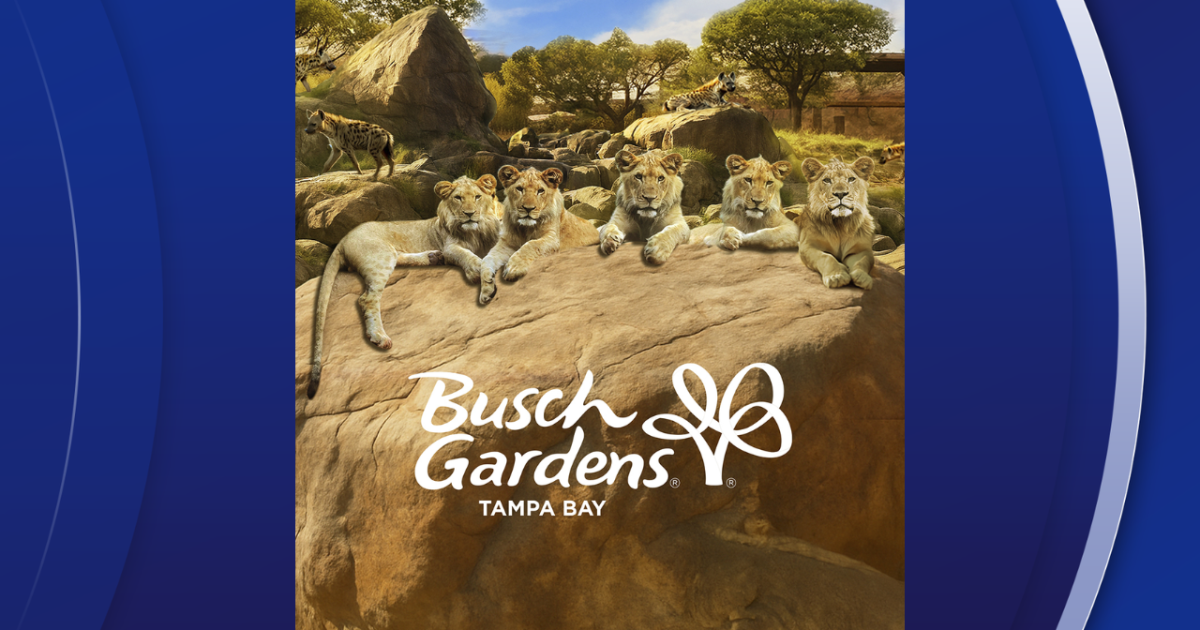 Busch Gardens announces new Lion & Hyena Ridge animal habitat coming in ...