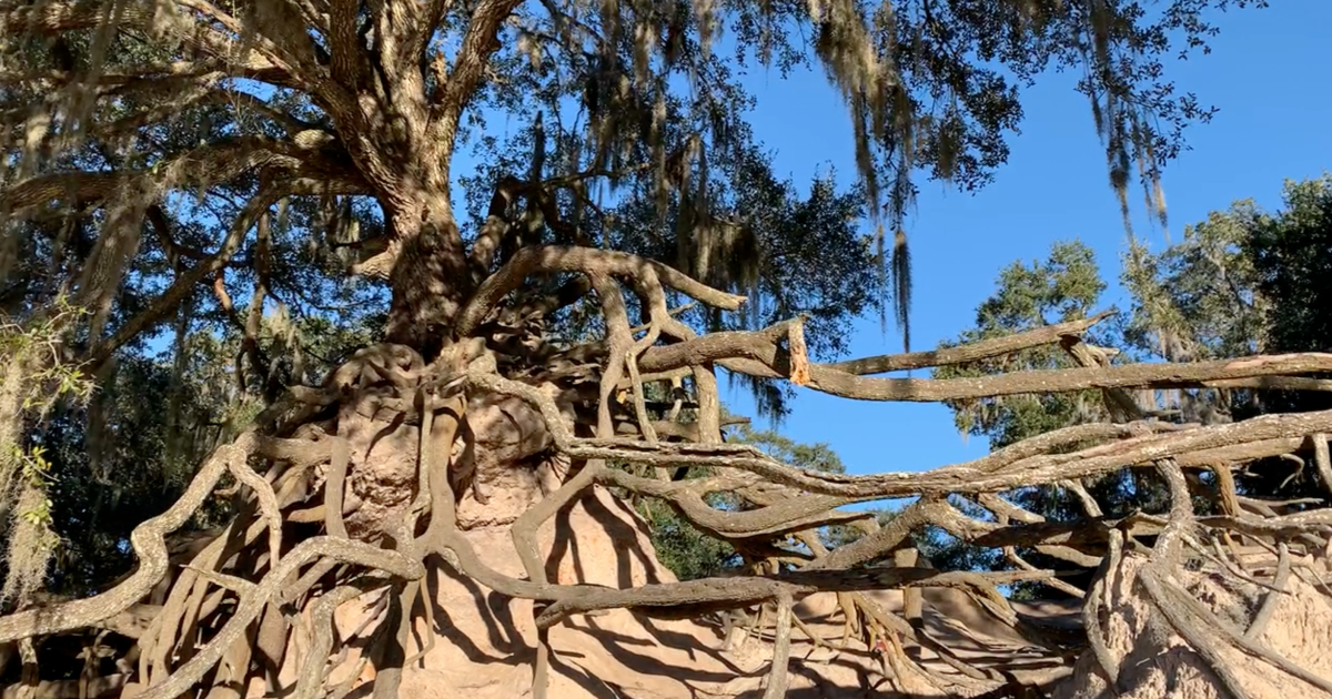 Walking Club: Exploring Edward Medard Conservation Park