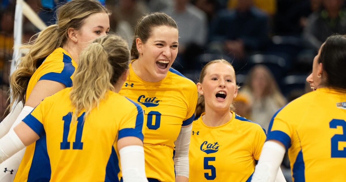 Montana State volleyball sweeps rival Montana to keep Main Line Trophy