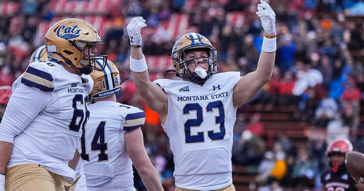 Bobcat Insider: After 12-0 regular season, Montana State turns toward ...