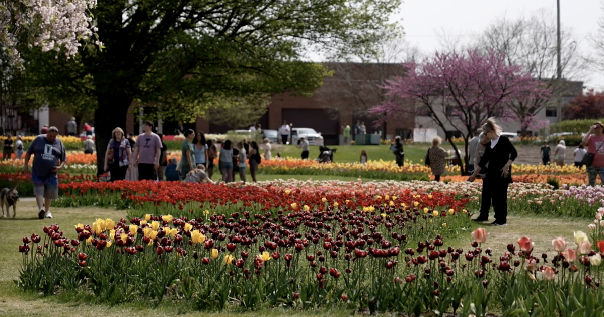 Warming climate could shift dates for flower festivals
