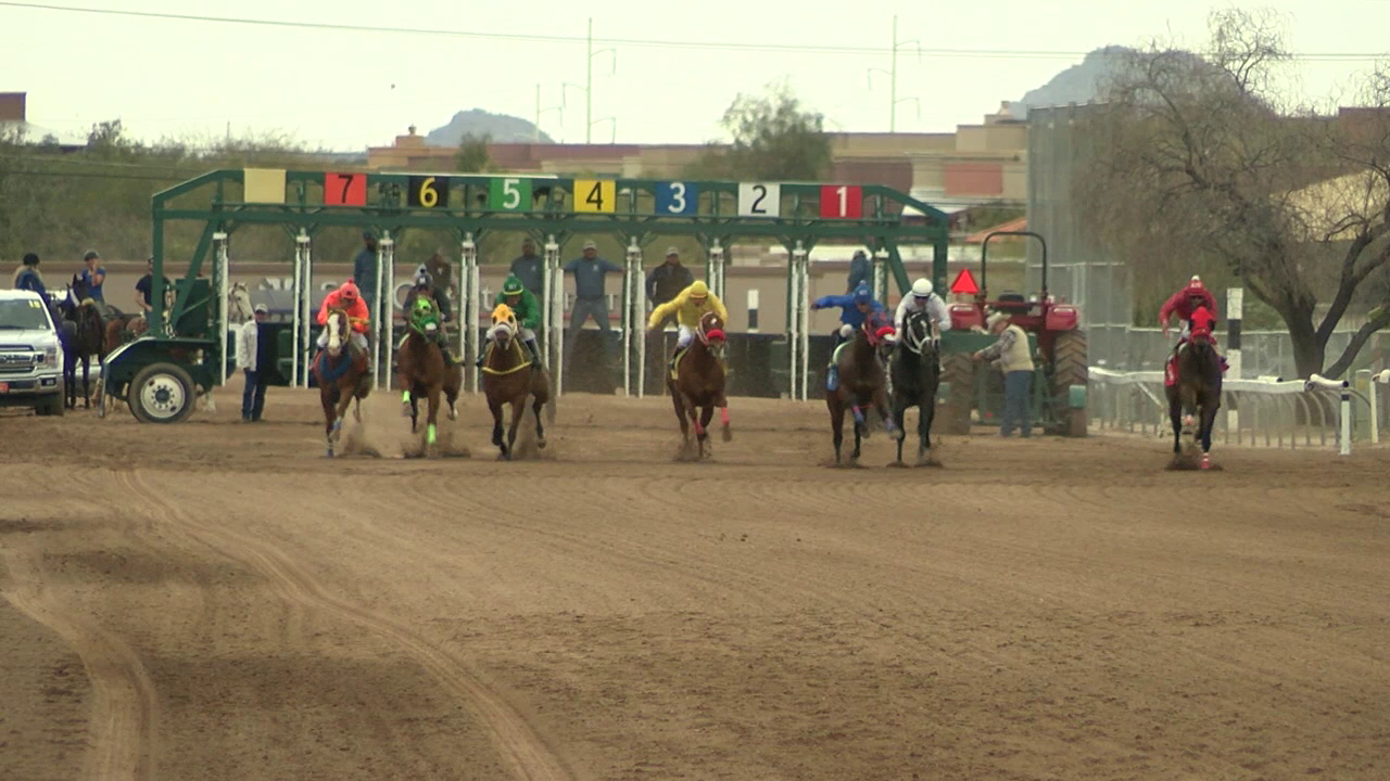 Horse racing at Rillito back on track and Absolutely Arizona