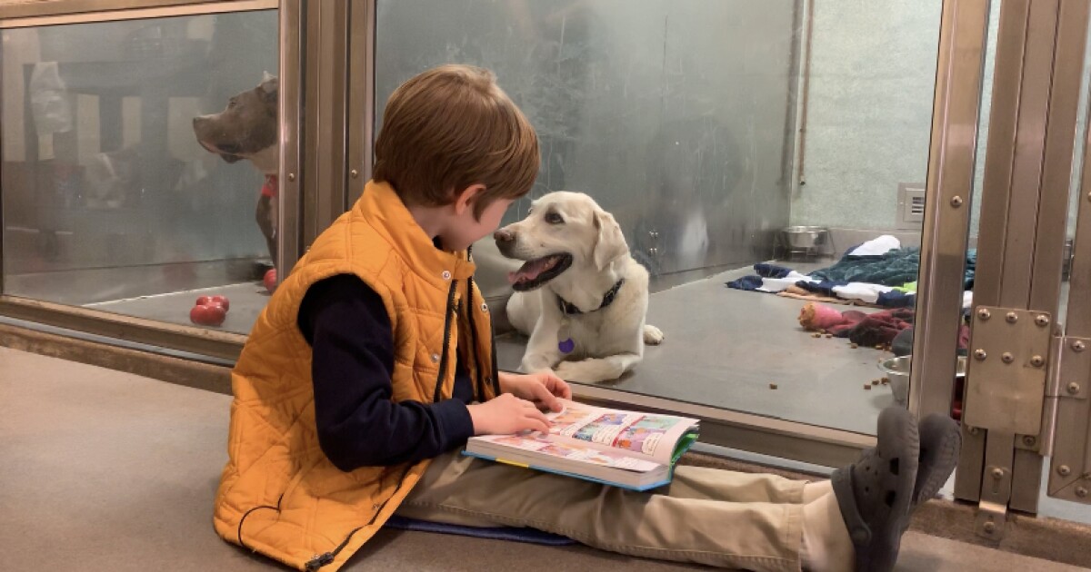 Kids spread their love of reading to MDSPCA pets awaiting adoption
